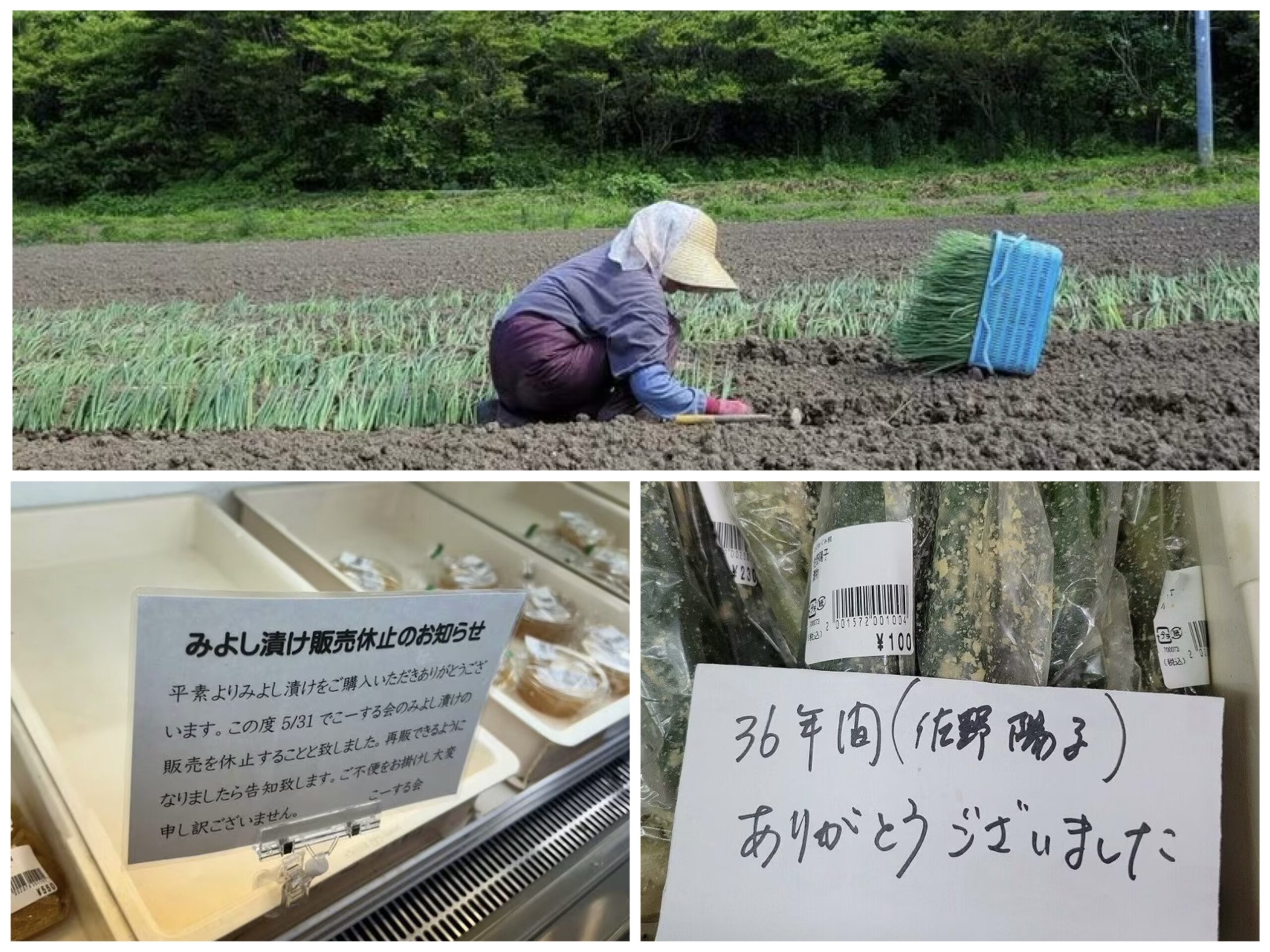 【漬物生産者】70％以上が廃業に…「また一つ大切な物がこの国からなくなりました」道の駅、農産物直売所から聞こえたさみしい声 - jnnavi