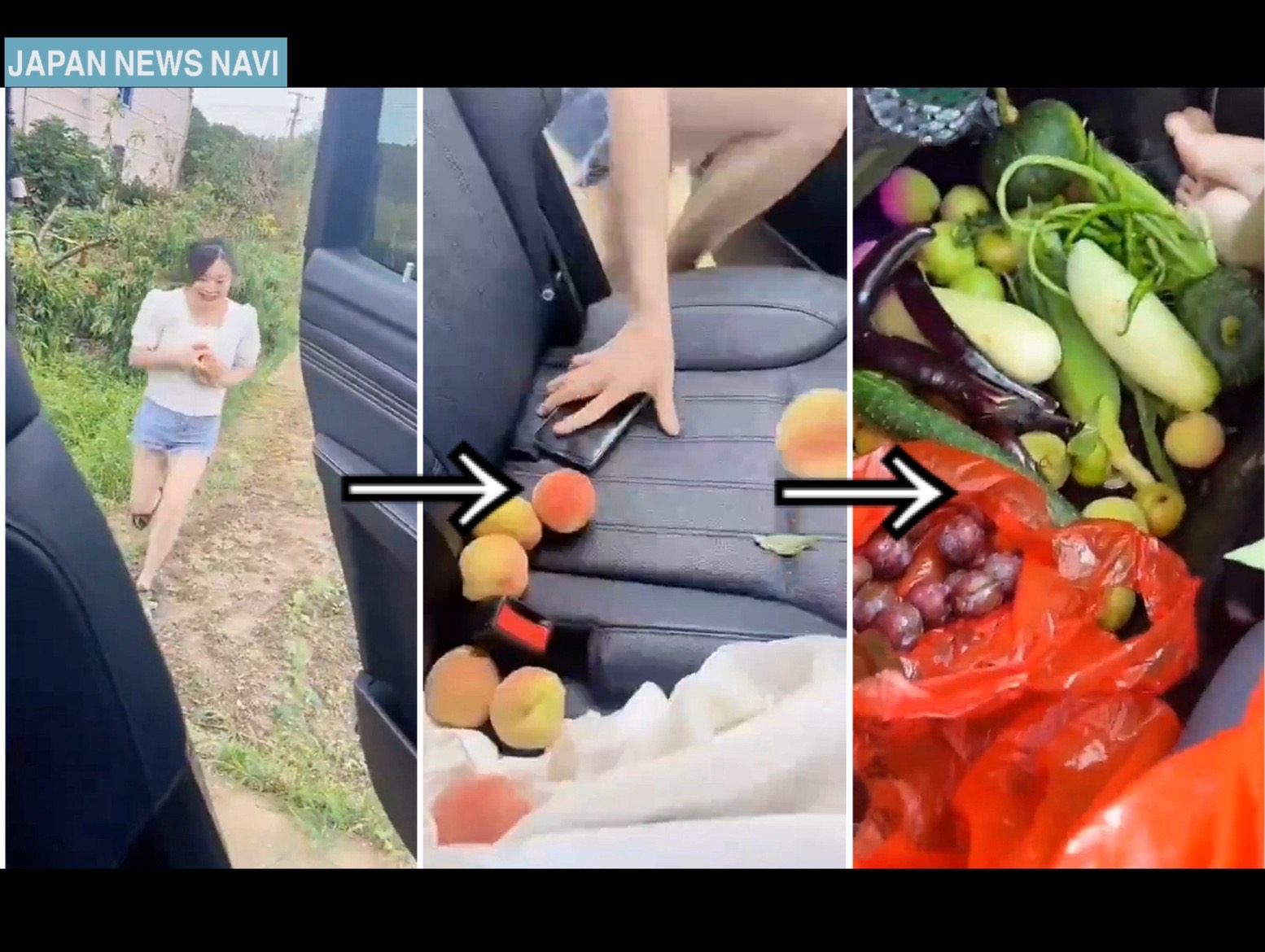 動画【中国人の野菜・果物泥棒がとまらない】日本人が大切に育てた農作物を盗みSNSアップで仲間に共有！他にも伊勢エビや鮑、サザエなど高級海産物も密漁か - jnnavi