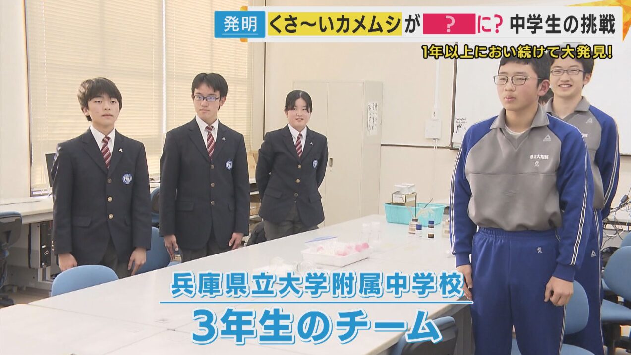 中学生のチームが「カメムシ」で芳香剤を作る研究 商品化も目指したいと意気込む - jnnavi