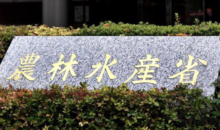 【悲報】日本政府さん、コメ約17万トン（お茶碗26億杯分）が行方不明と発表 - jnnavi