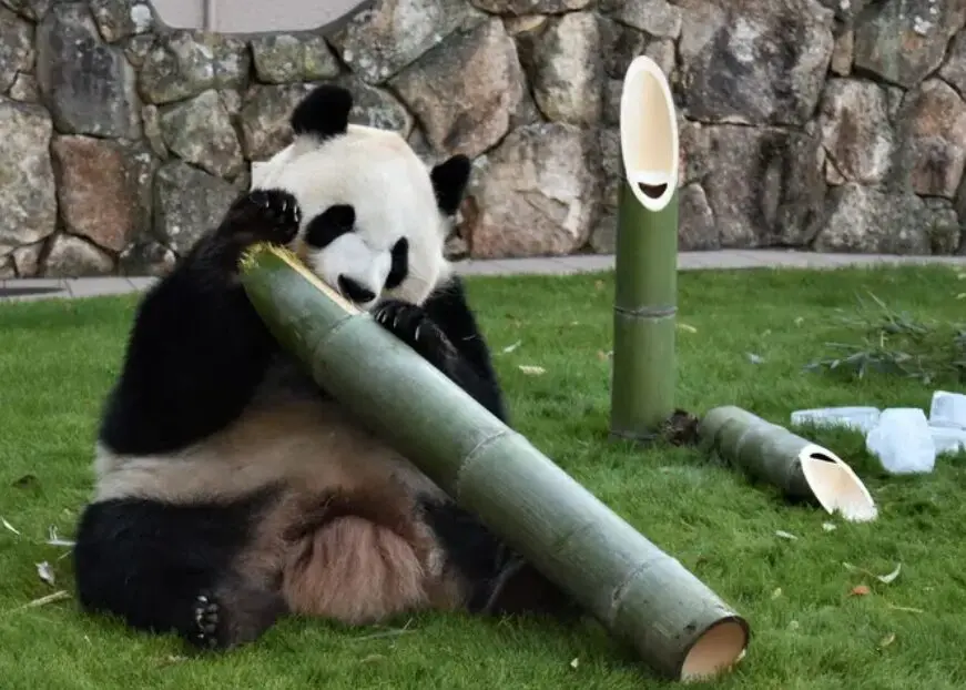 TBSが急速に“韓国化”しているワケ 戦略的パートナーシップ協定を結び映画を共同制作？ - jnnavi