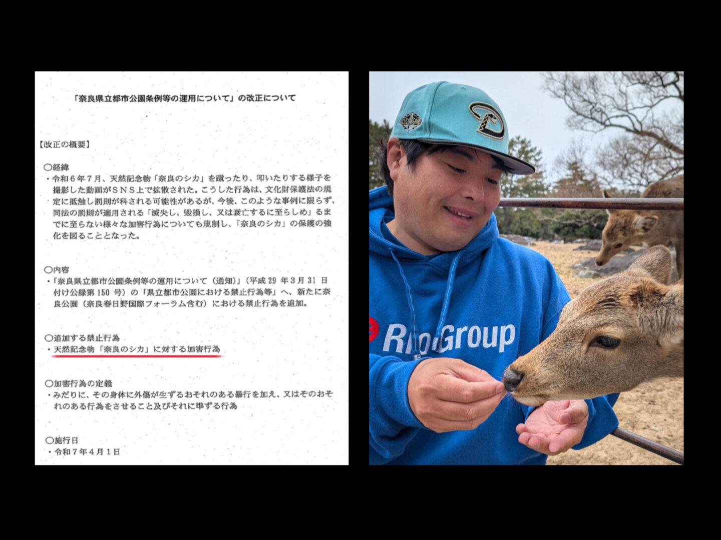 【へずまりゅうさん】「鹿さん保護活動を9ヶ月やり続けた結果ついに奈良の行政が動きました。鹿さんへの「暴力的行為」が禁止事項として追加されました。 - jnnavi