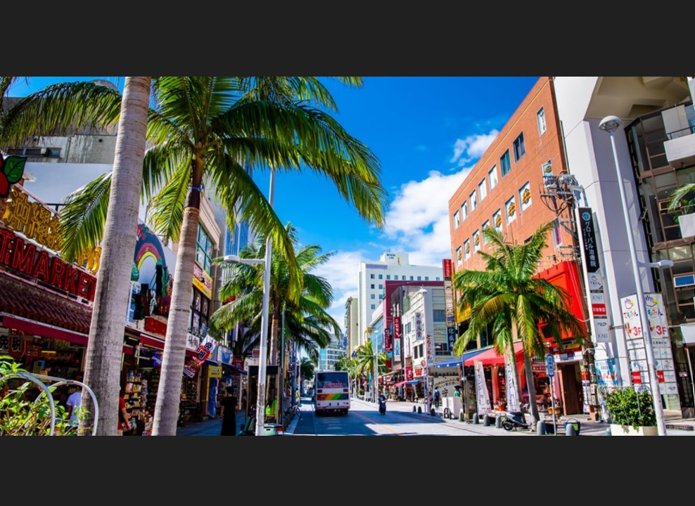 【岩屋外務大臣】中国人向けビザ緩和を表明し中国人大喜び！10年ビザ新設で単独も家族も申請可能 65歳以上はビザ不要で3カ月滞在中に国保加入可能[翻訳あり] - jnnavi