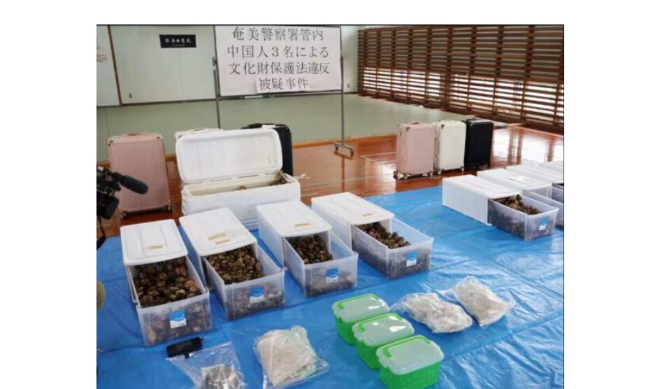 【中国人3人】国天然記念物のヤドカリ数千匹所持 文化財保護法違反容疑で逮捕、販売目的か - jnnavi