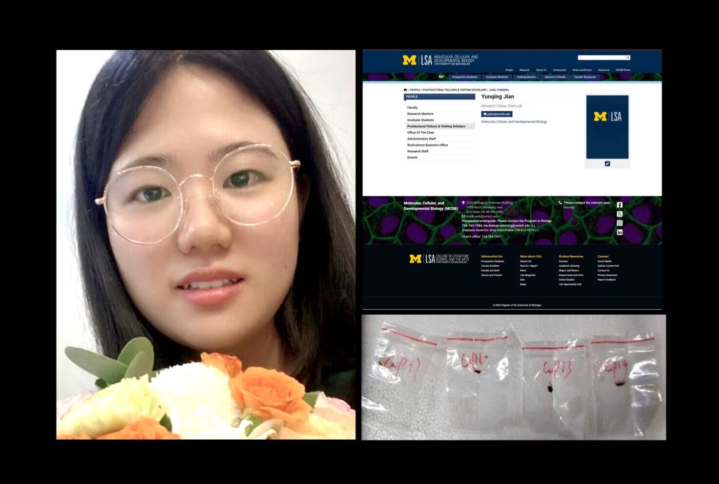 【動画】自民党幹事長 森山裕さん、在日朝鮮人二世だと暴露されてしまう - jnnavi