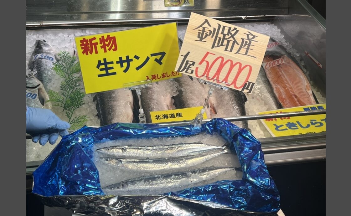 【サンマ1匹5万円 釧路で初水揚げ】※動画あり - jnnavi