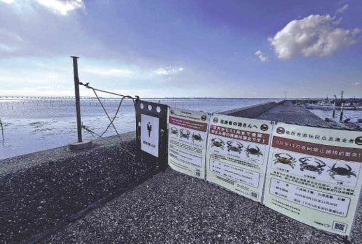 【新ルール】中国SNS拡散で外国人のワタリガニ大量捕獲相次ぐ 9～11月は夜間の採捕禁止 千葉・木更津[読売新聞] - jnnavi